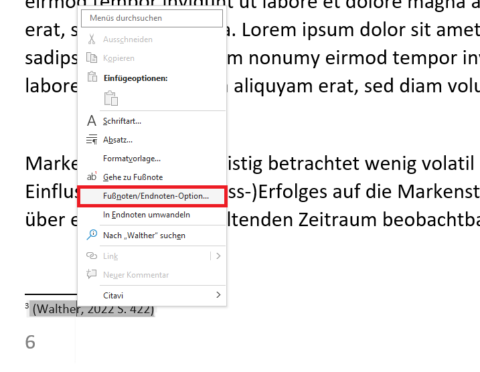Fußnoten in Word einfügen - Björn Walther